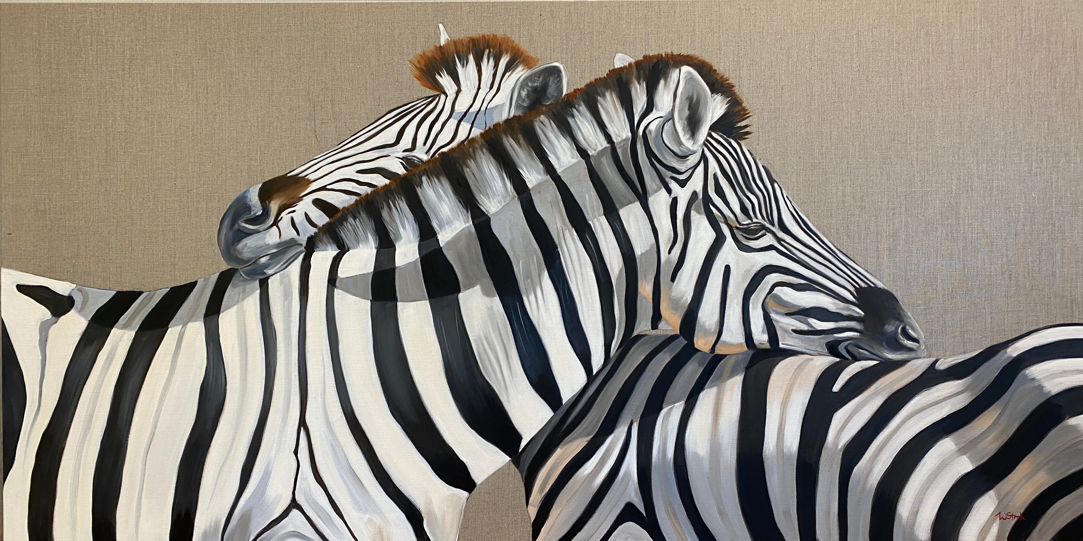 Original Zebra Paintings for Sale | Weatherly Stroh Studio